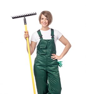 Fresh Sod Suppliers, Grass Seed and Fertilizer | Manderley Turf Products