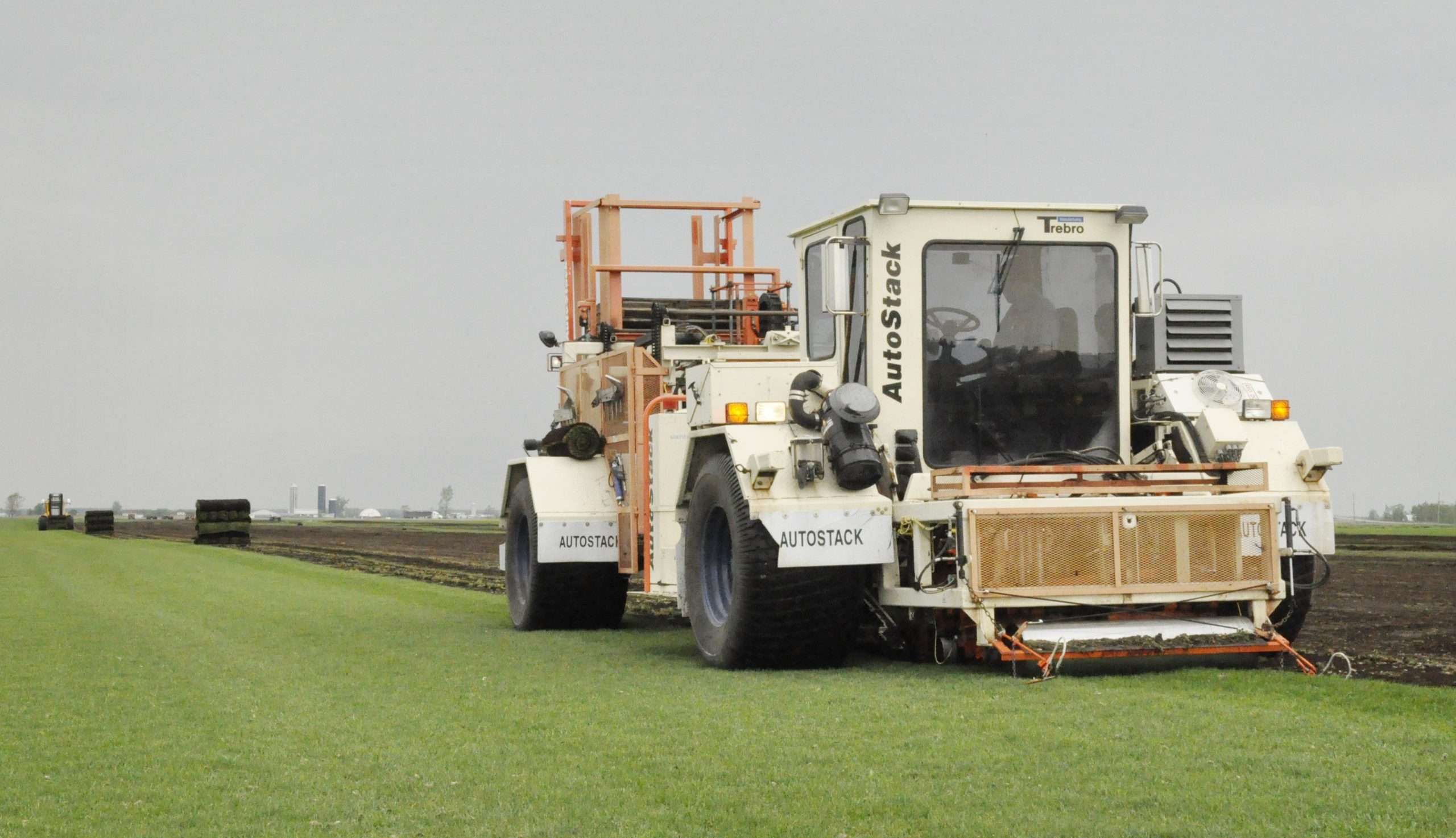 Manderley - Picnic on the Bridge - Manderley Sod