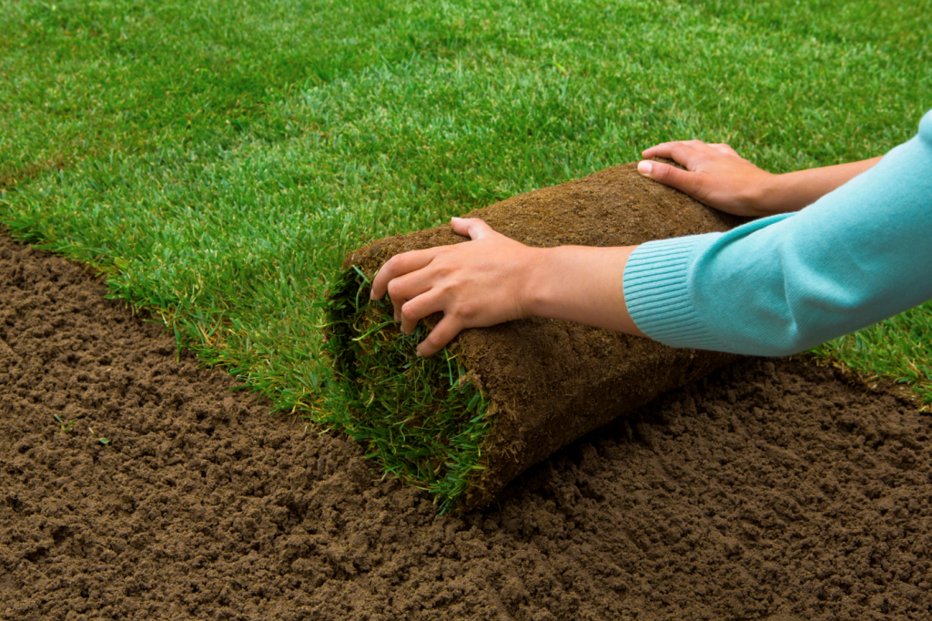 Worried about your new sod during this heat wave? We’re here to help ...