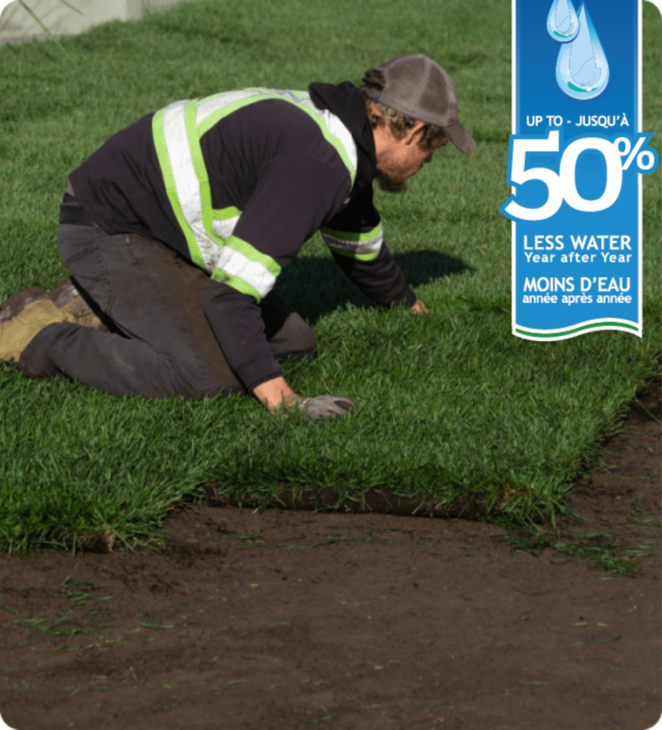 Fresh Sod Grass for Sale | Less Water | Manderley Turf Products
