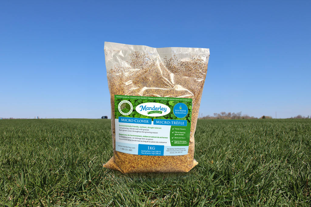 Micro Clover Seed 1kg - Manderley Sod