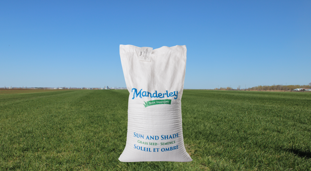 Seed (20 KG) - Manderley Sun and Shade - Manderley Sod
